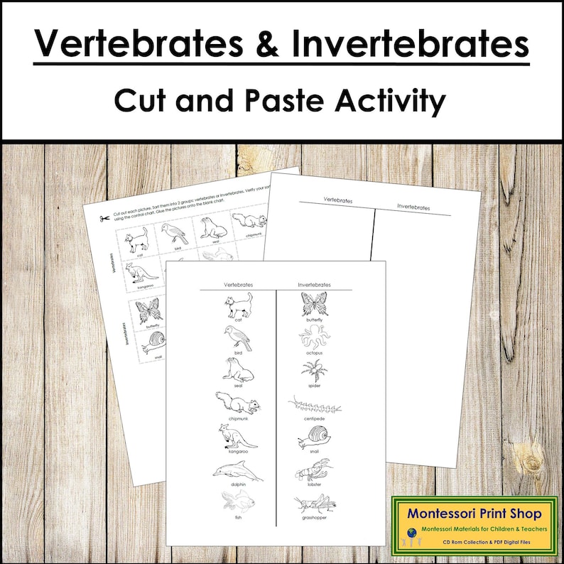 Vertebrates and Invertebrates Sorting Cut & Paste [blackline Masters ...
