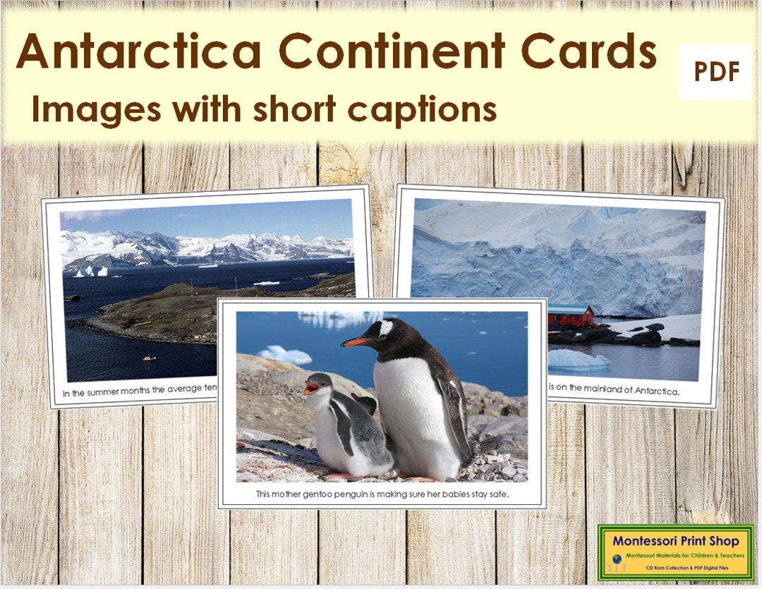Antarctica Continent Cards color-coded Montessori - Etsy