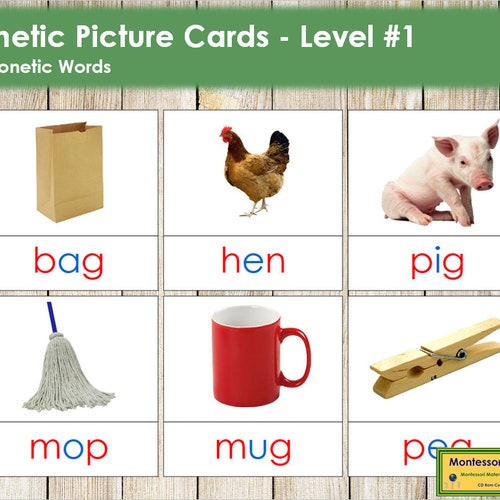 Phonetic Montessori Reading Cards - Etsy