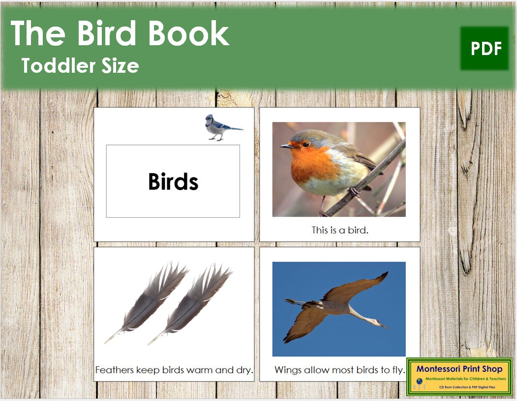 About Birds Book Printable Toddler Montessori Materials - Etsy Canada