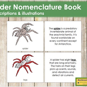 Parts of a Spider Nomenclature Book RED Montessori Zoology - Etsy
