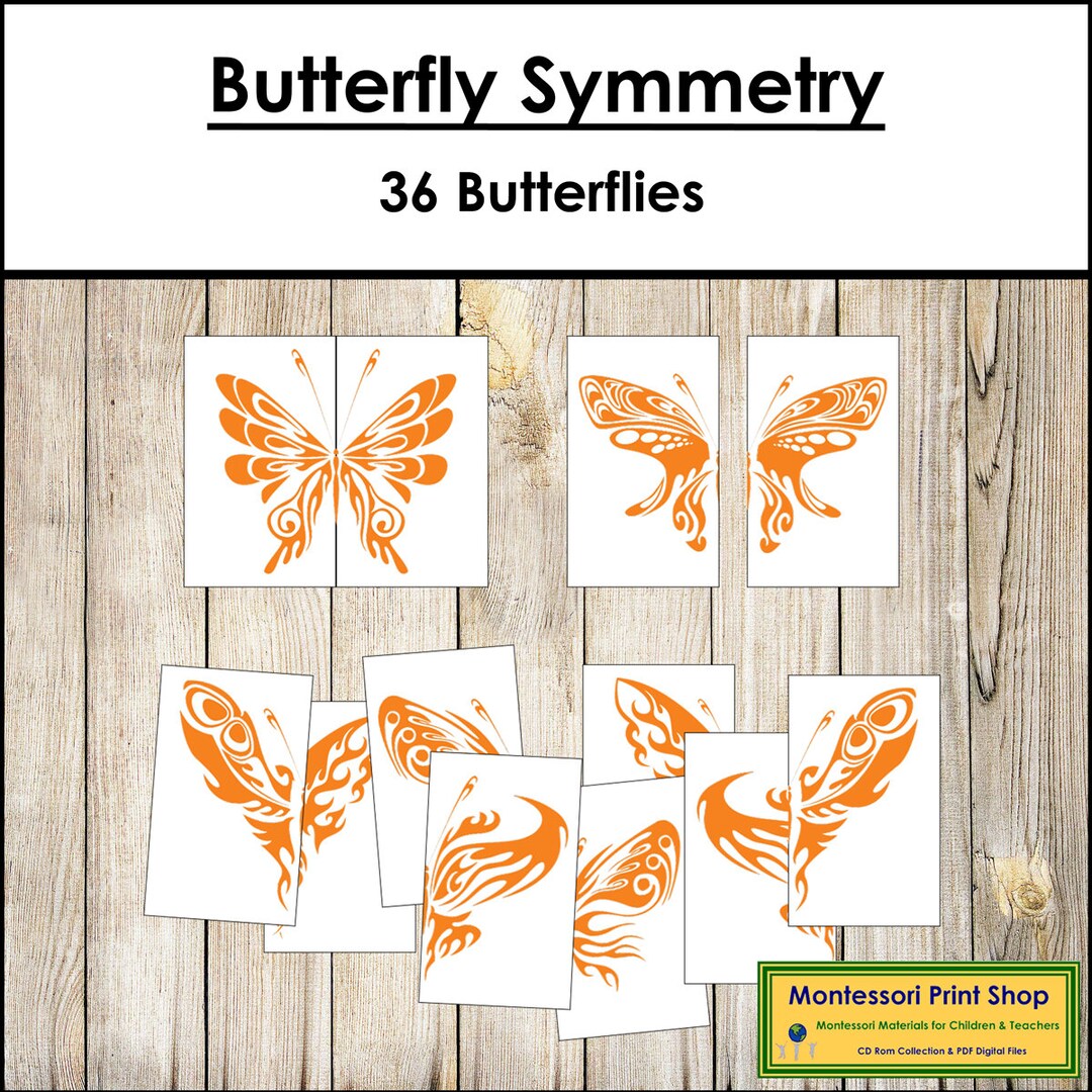 Butterfly Symmetry Matching [set 2] - Preschool Activity (digital ...