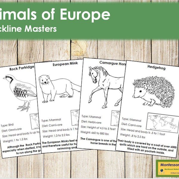 Printable Map of Europe - Etsy