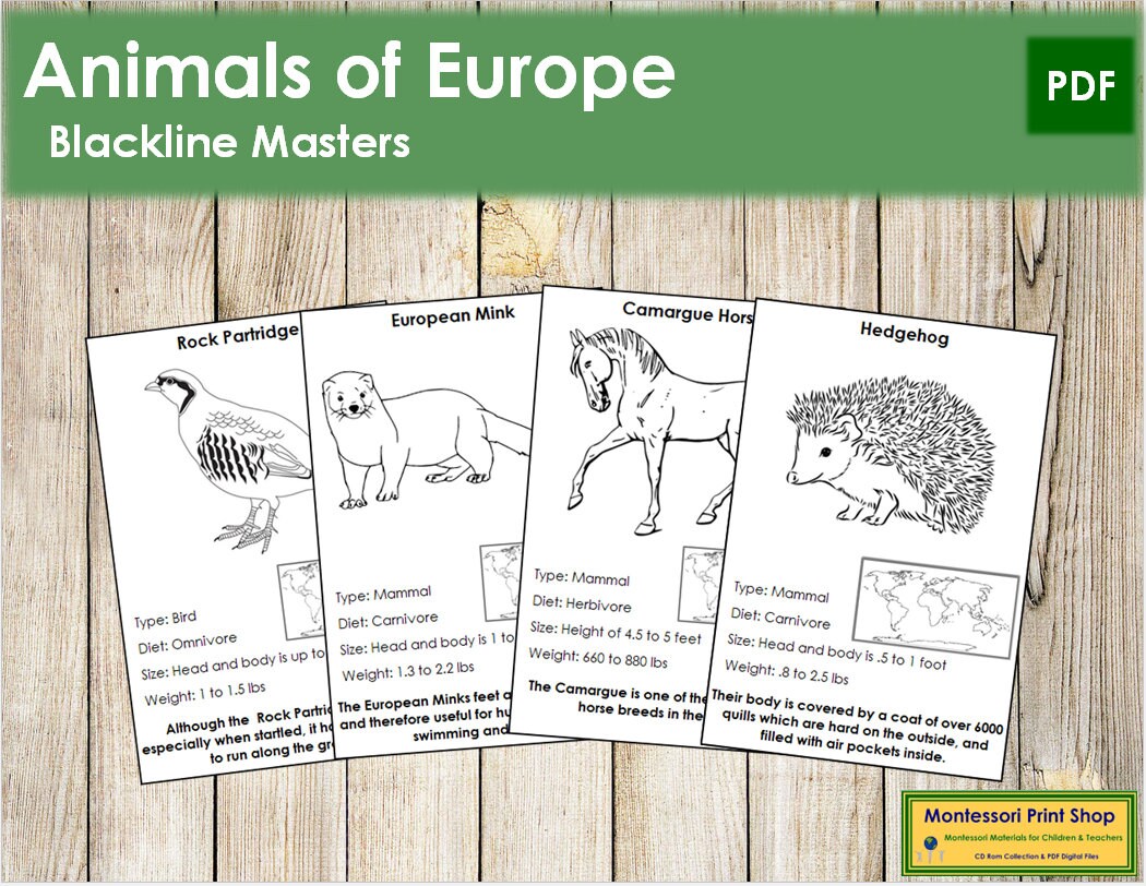 Animals of Europe Facts & Picture Cards blackline Masters - Etsy