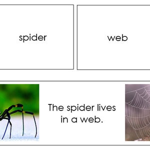 Animals and Their Homes Matching Cards - Montessori Zoology (digital ...