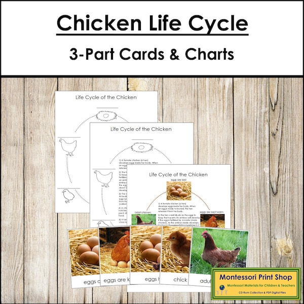 MontessoriPrintShop - Etsy