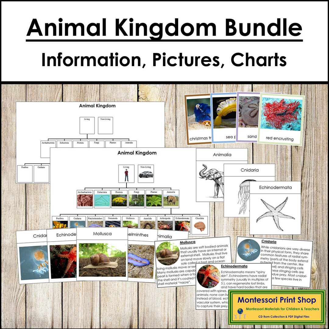 Animal Kingdom Bundle Cards & Charts [color Borders] - Montessori ...
