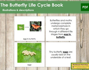 The Kangaroo Life Cycle Book Montessori Nomenclature | Etsy