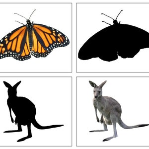 Animal Silhouette Matching Cards - Preschool Activity - Digital ...