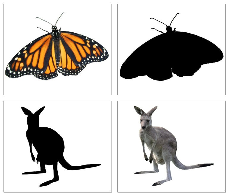 Animal Silhouette Matching Cards Printable Montessori - Etsy