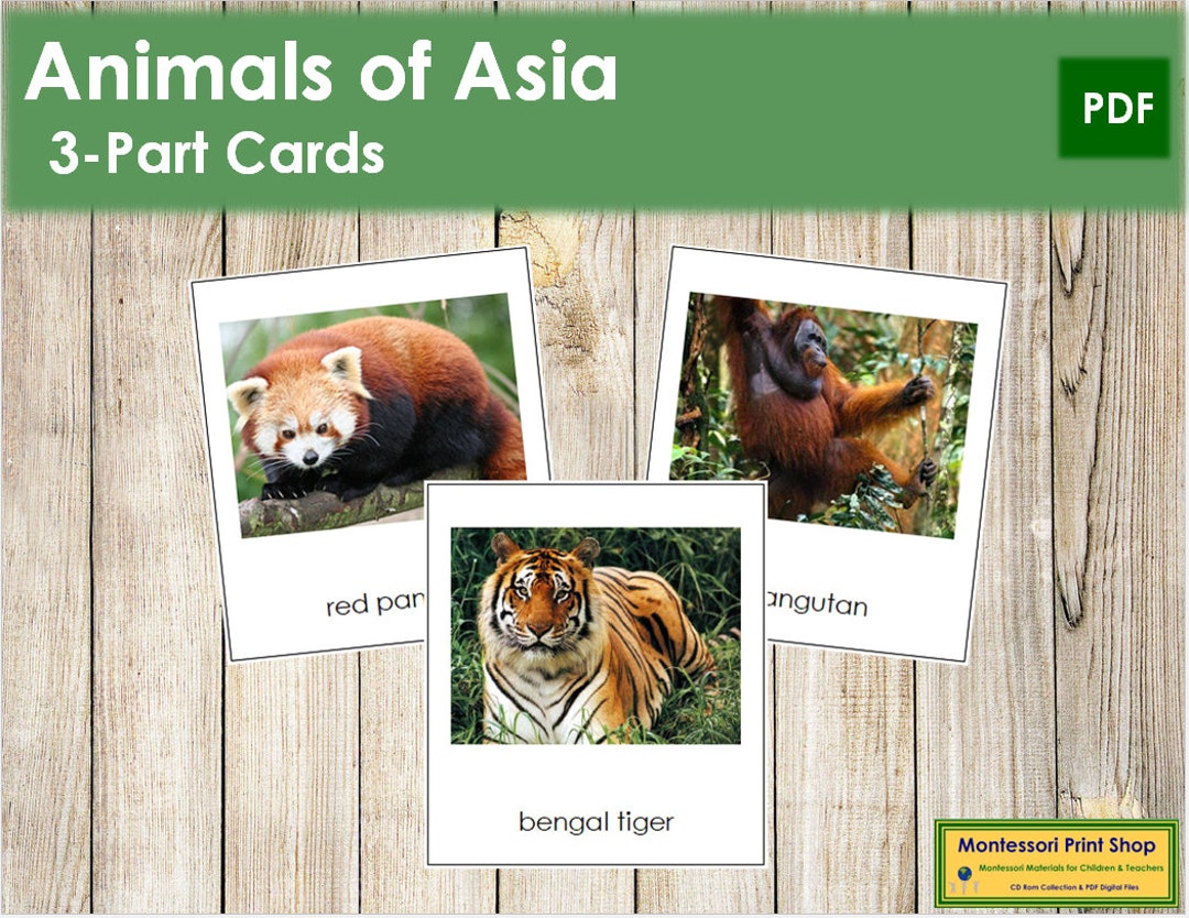 Animals of Asia Montessori Continent Cards Geography - Etsy