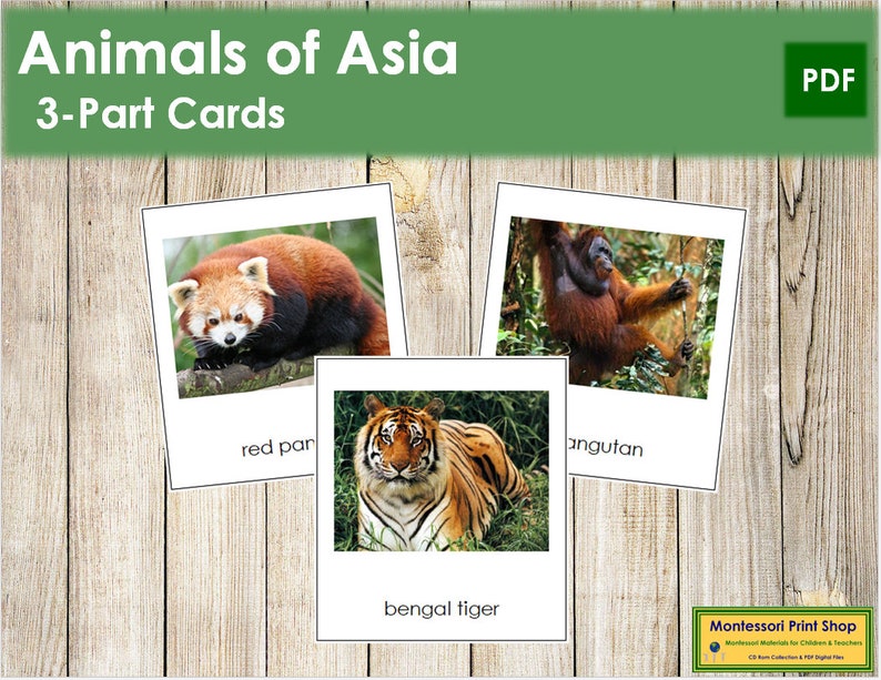Animals of Asia Montessori Continent Cards Geography - Etsy