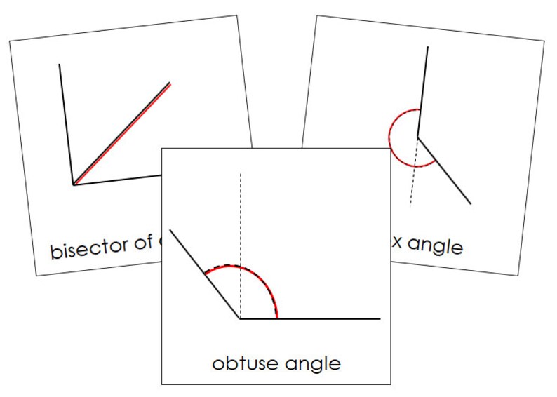 The Study of Angles Nomenclature 3-part Cards Geometry - Etsy
