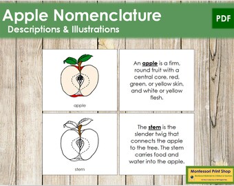 Parts of an Apple Nomenclature Book Botany Printable - Etsy