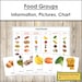 Food Groups Sorting Cards & Chart - Montessori Nutrition Activity ...