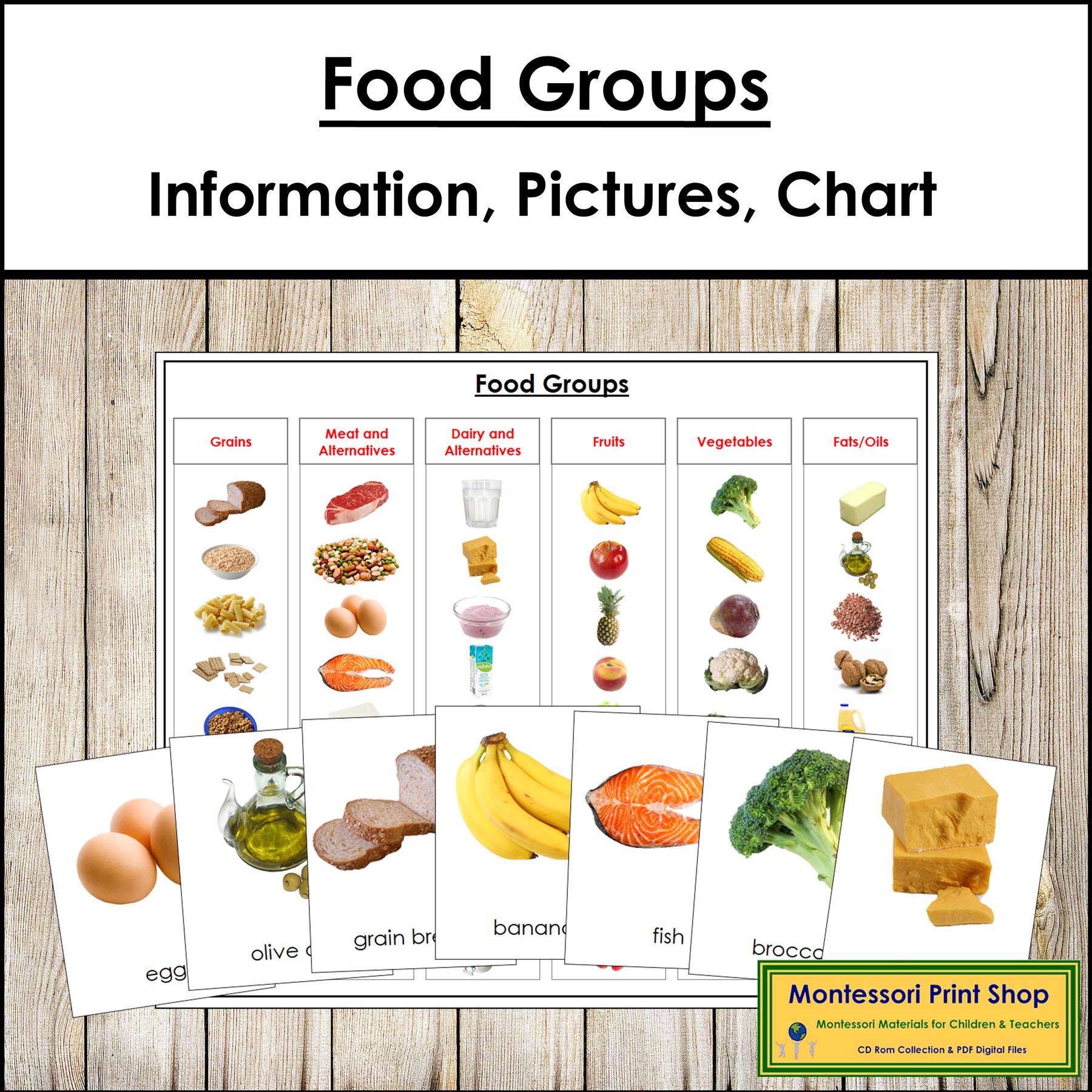 Food Groups Sorting Cards & Chart - Montessori Nutrition Activity ...