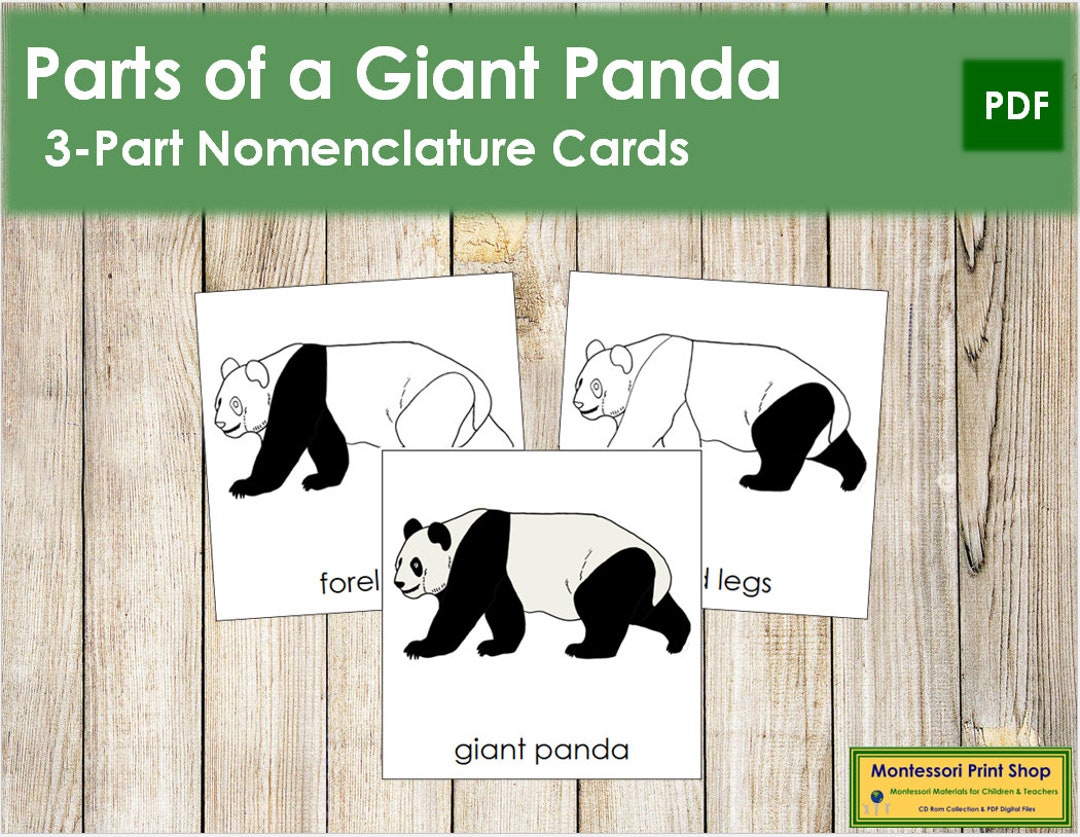 Parts of a Giant Panda Nomenclature 3-part Cards Montessori - Etsy