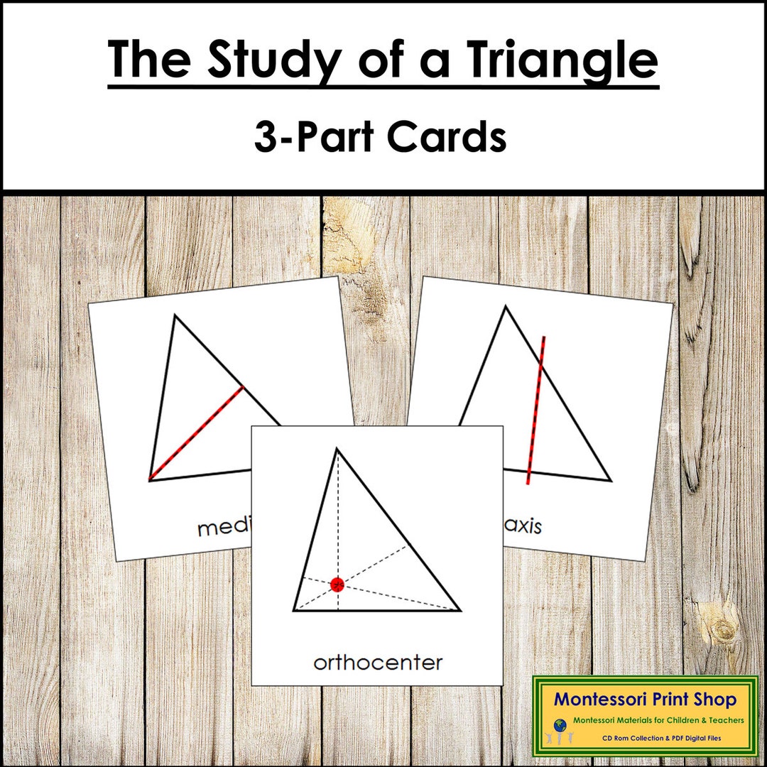 The Study of a Triangle Nomenclature 3-part Cards - Geometry ...