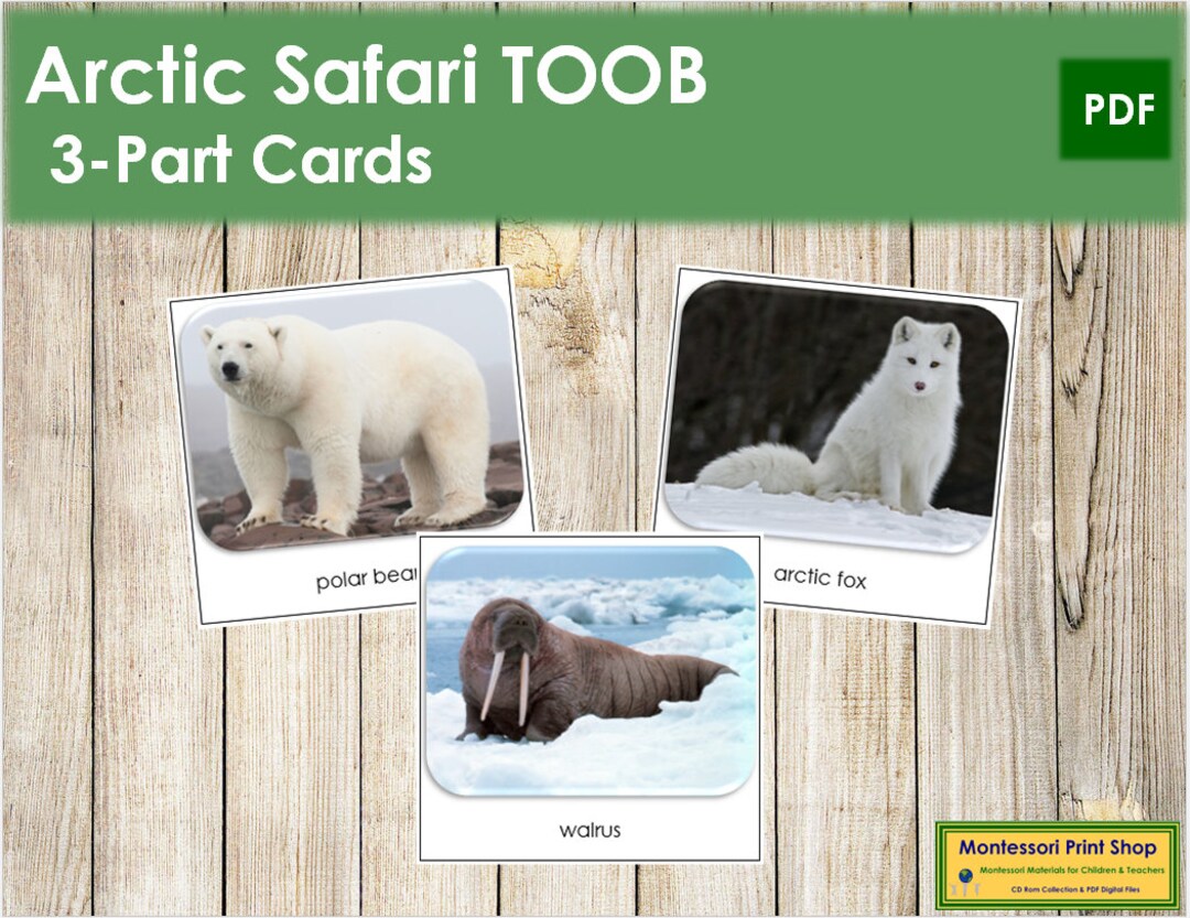 Arctic Safari TOOB Cards Printable Montessori Cards - Etsy