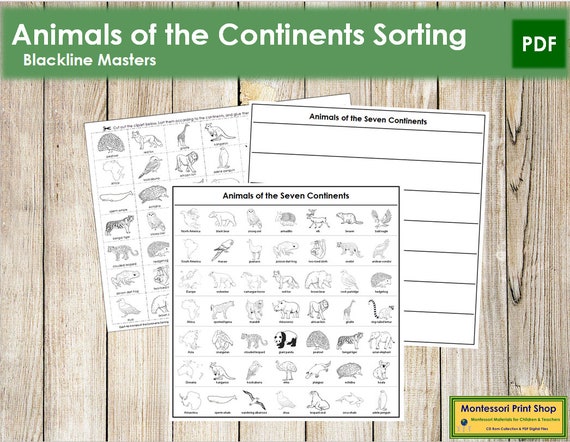 Animals of the Continents Sorting Blackline Masters Zoology | Etsy