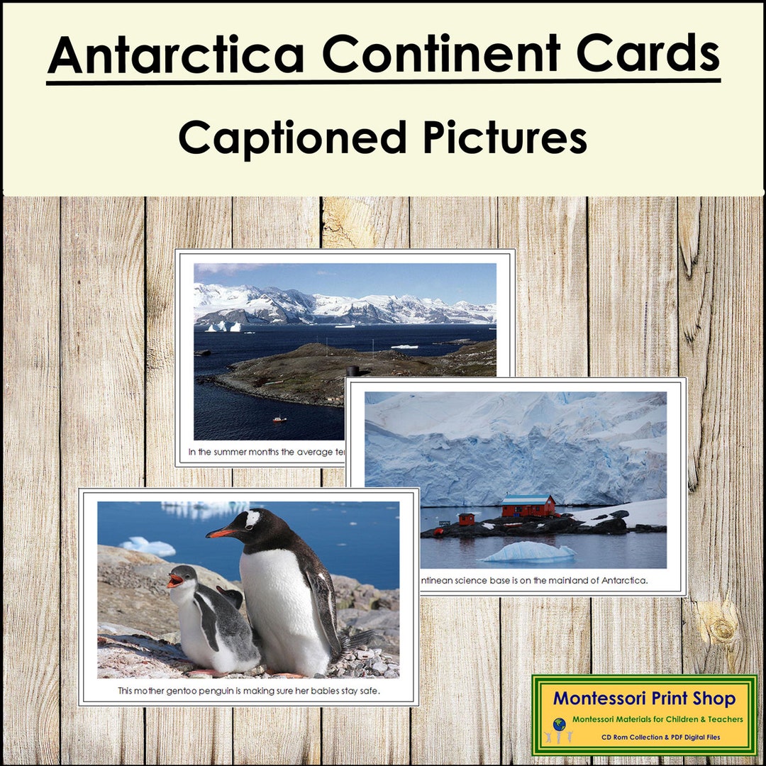 Antarctica Continent Cards (color-coded) - Montessori Geography ...