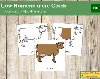 Parts of a Bird Nomenclature 3-part Cards Montessori Zoology | Etsy