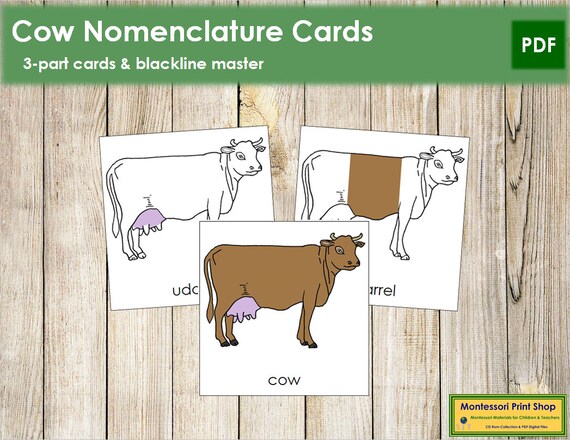 Parts of a Cow Nomenclature 3-part Cards Montessori Zoology | Etsy