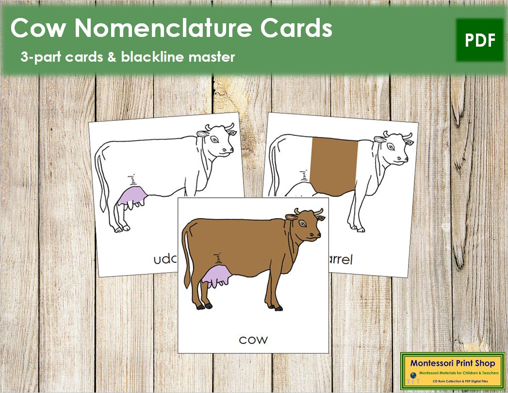 Parts of a Cow Nomenclature 3-part Cards Montessori Zoology | Etsy