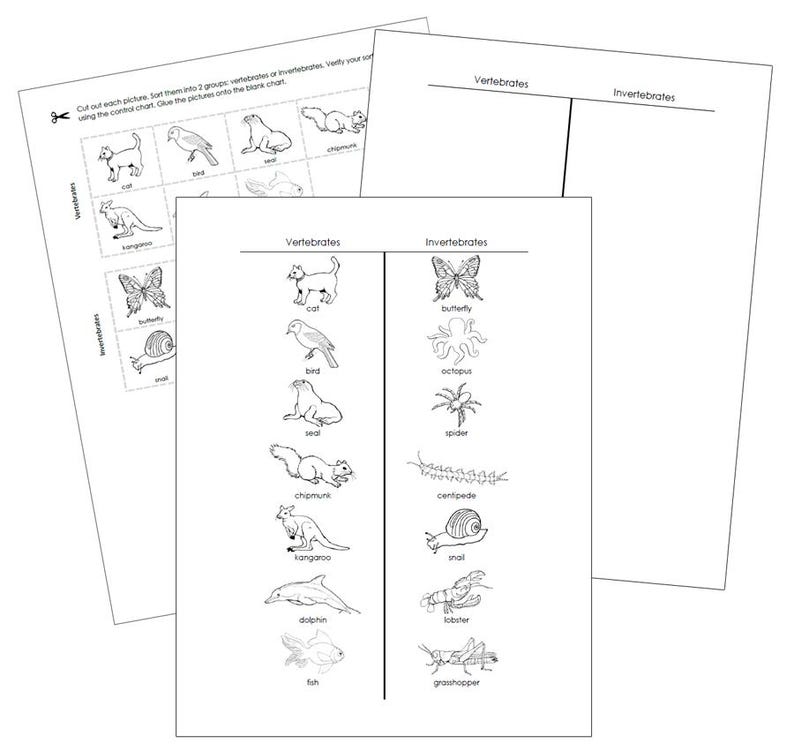 Vertebrates and Invertebrates Sorting Cut & Paste [blackline Masters ...