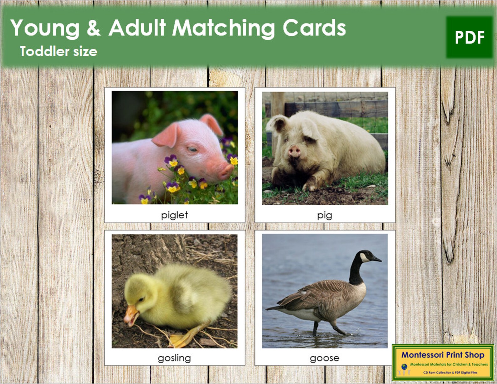 Young & Adult Animal Matching Cards Printable Toddler | Etsy