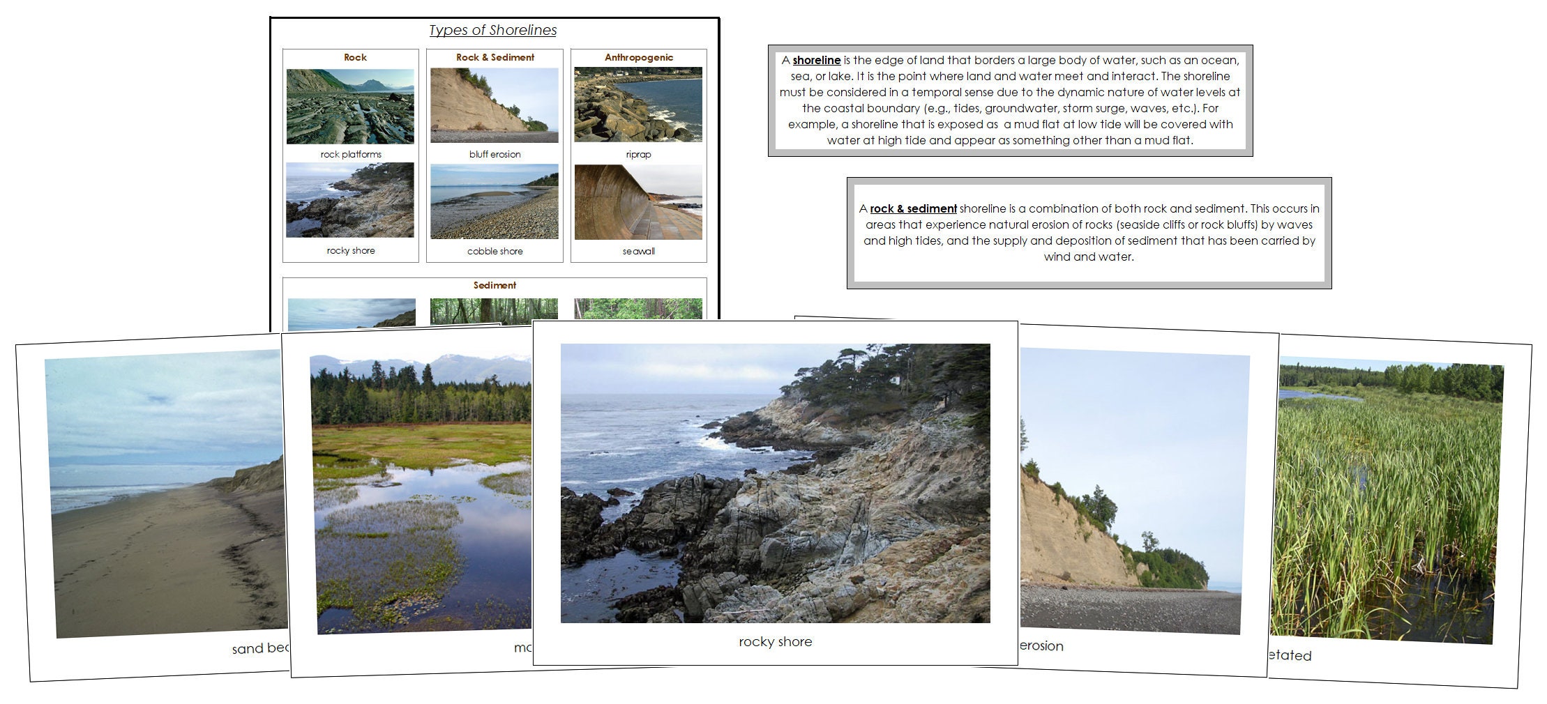 Types of Shorelines Information, Sorting Cards & Chart Montessori ...