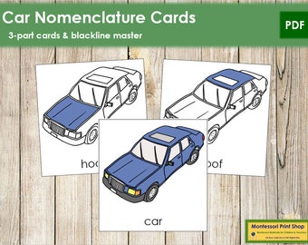Parts of a Penguin Nomenclature 3-part Cards Montessori | Etsy