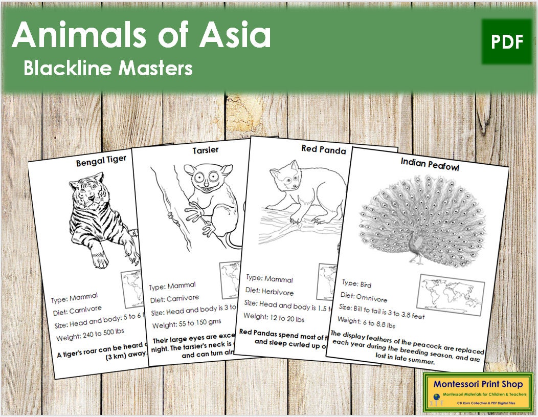 Animals of Asia Facts & Picture Cards blackline Masters - Etsy