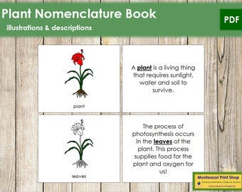 Parts of a Leaf Nomenclature Book Montessori Botany | Etsy