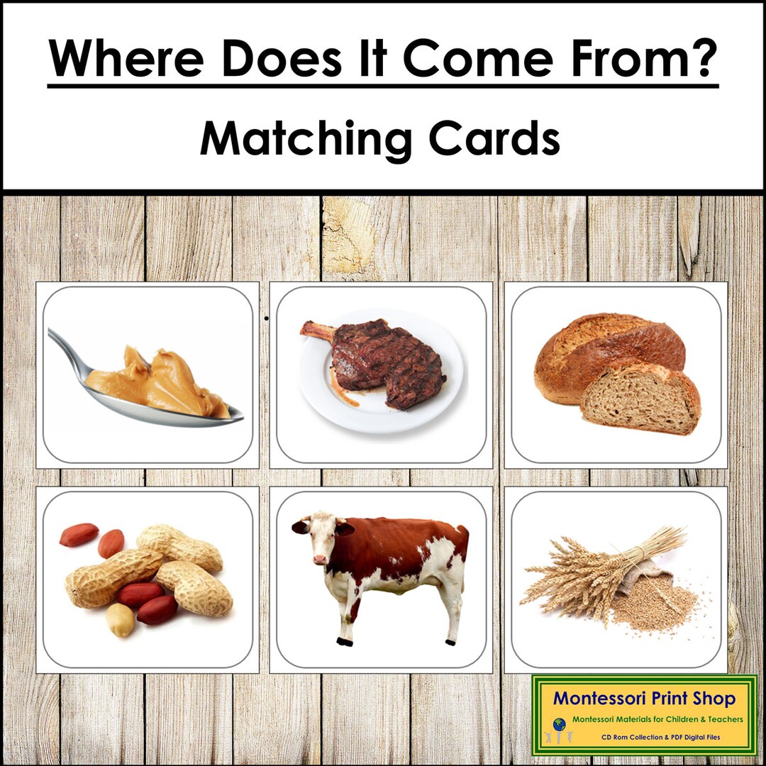 Where Does It Come From Set 2 Science Printable - Etsy