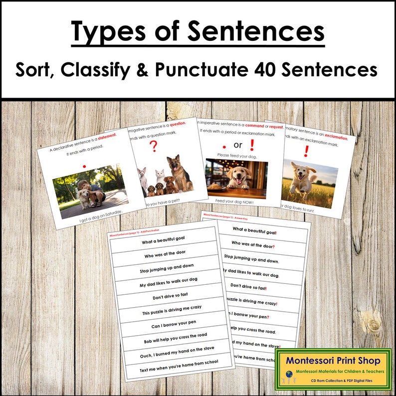 Types of Sentences Montessori Language & Grammar Printable Montessori ...