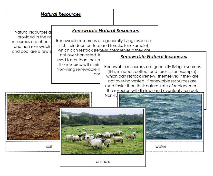 Renewable Natural Resources