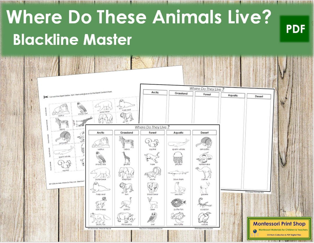 Animals: Where Do They Live Blackline Masters Zoology - Etsy