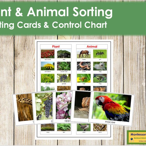 Living and Non-living Sorting Cards & Control Chart Science - Etsy