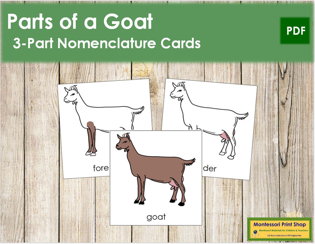 Parts of a Goat Nomenclature 3-part Cards Montessori Zoology - Etsy