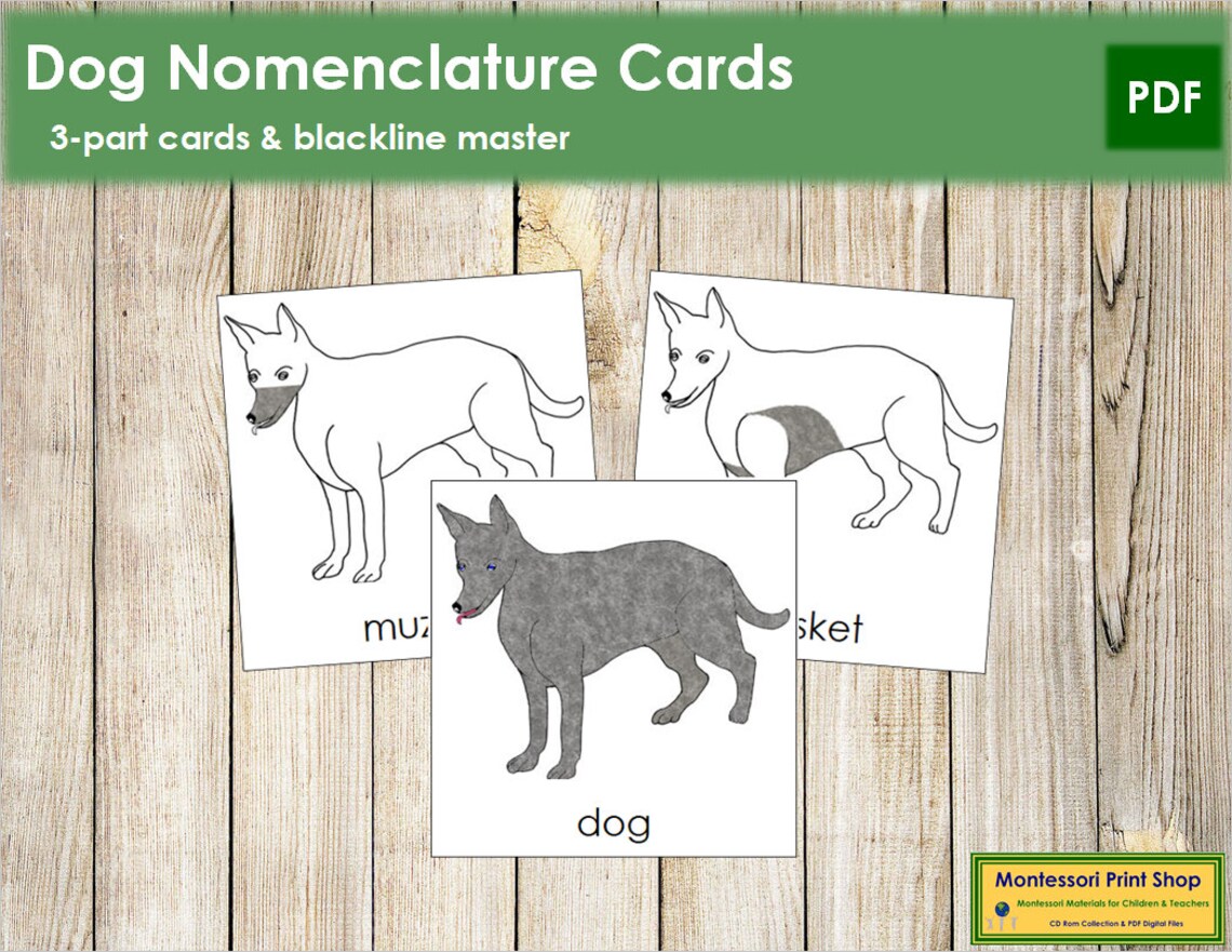 Parts of a Dog Nomenclature 3-Part Cards Montessori Zoology | Etsy