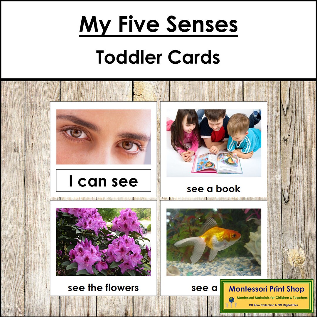 My Five Senses Book - Printable Toddler Montessori Cards - Digital ...