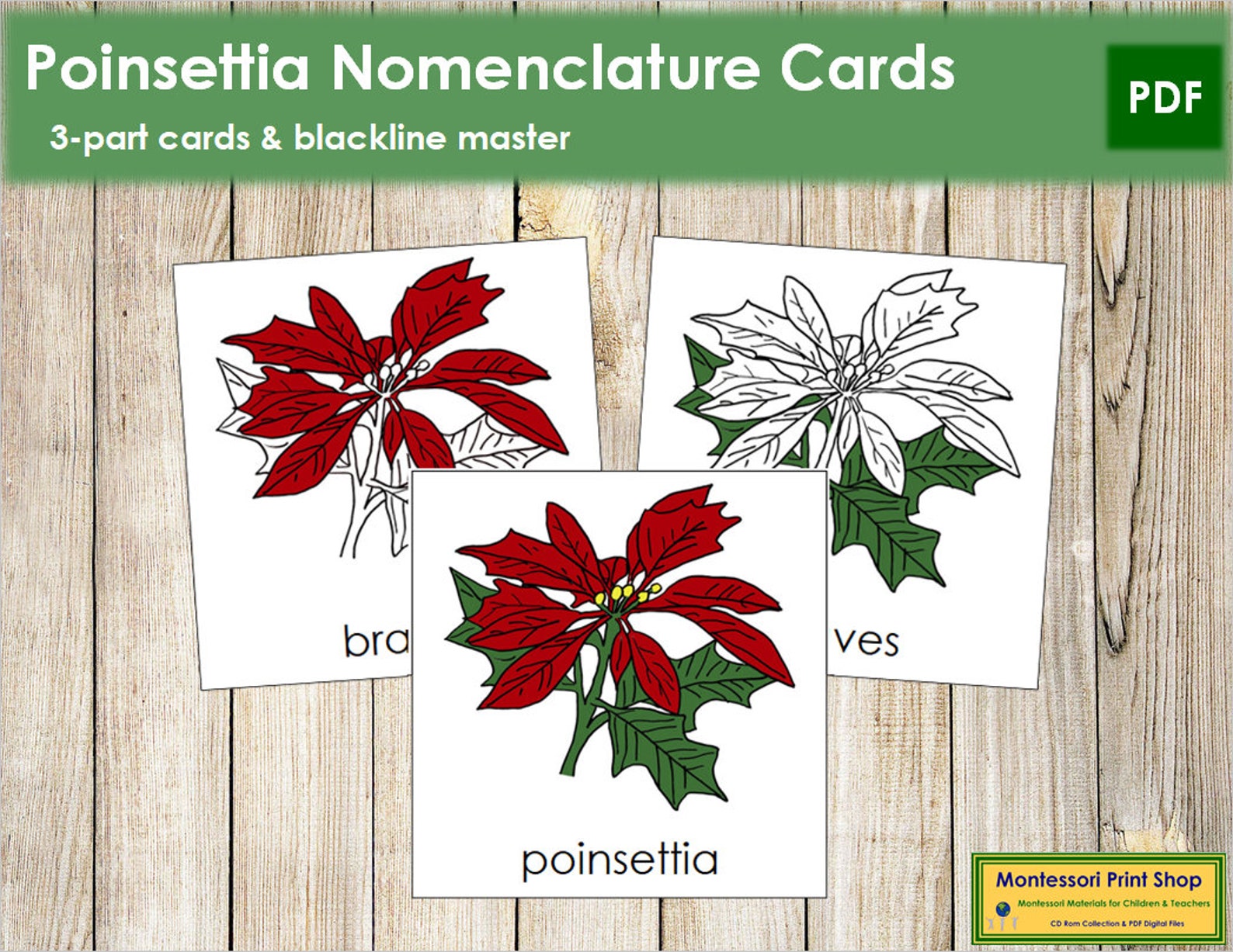 Parts of a Poinsettia Nomenclature 3-part Cards Montessori | Etsy