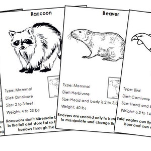 Animals of North America Facts & Picture Cards (blackline Master ...