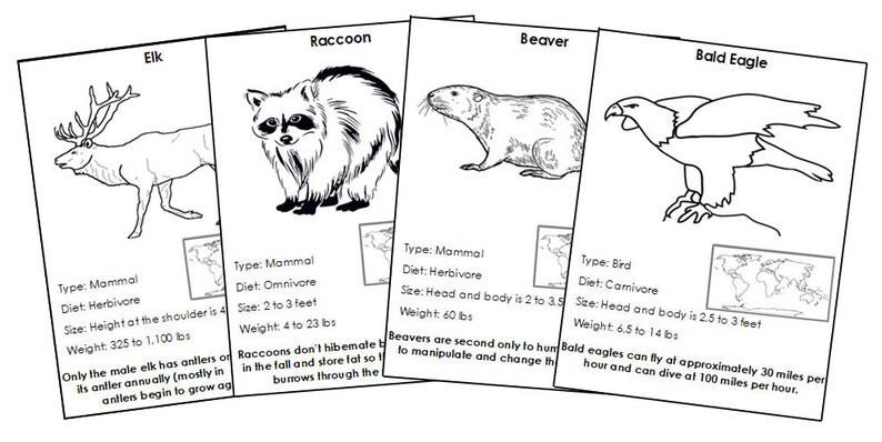 Montessori Animals of North America Information Cards [blackline ...