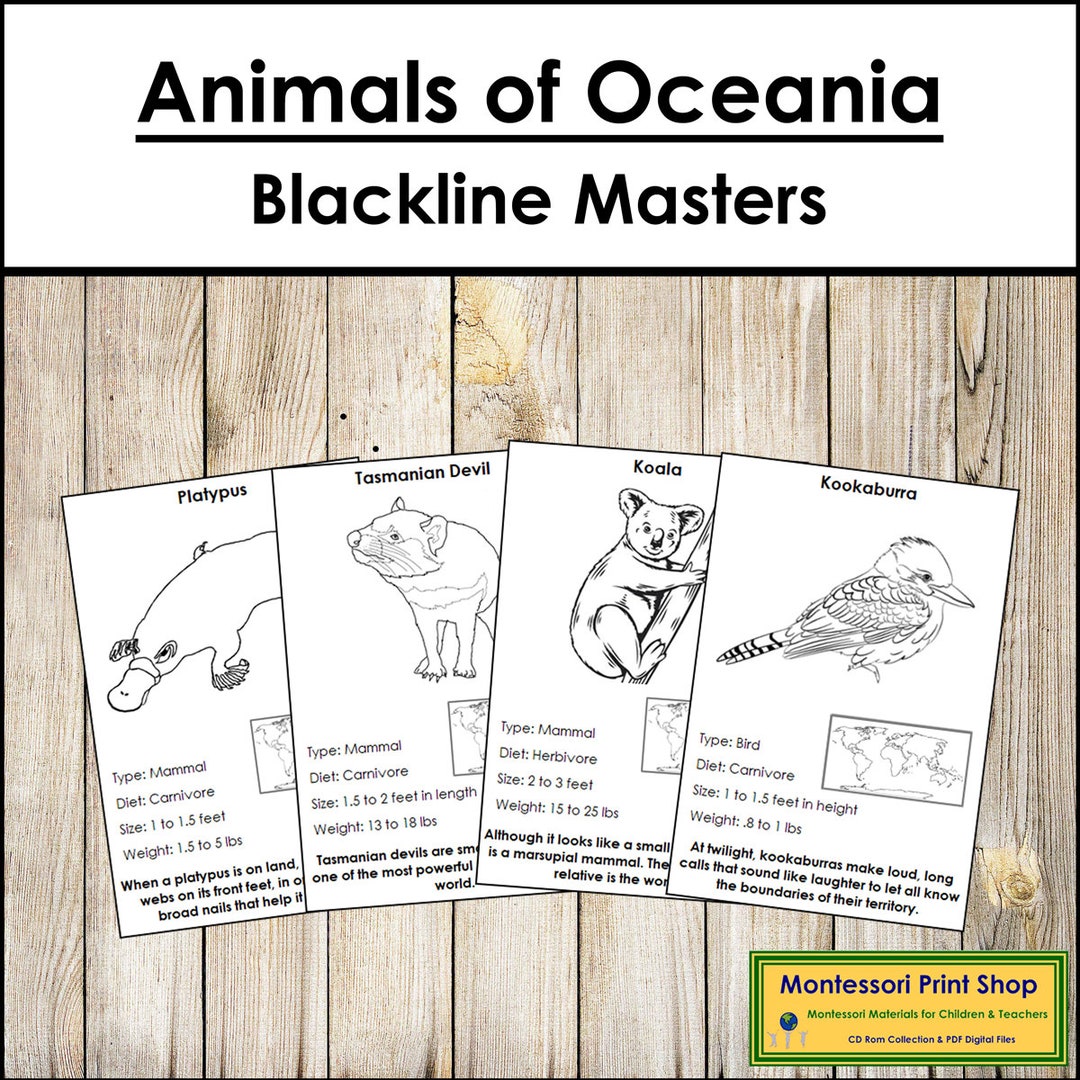 Animals of Australia/oceania Facts & Picture Cards blackline - Etsy