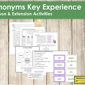 Synonyms Key Experience Elementary Montessori Language & - Etsy