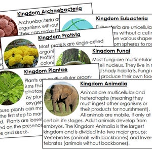 Six Kingdoms of Life Information Cards - Montessori Botany ...