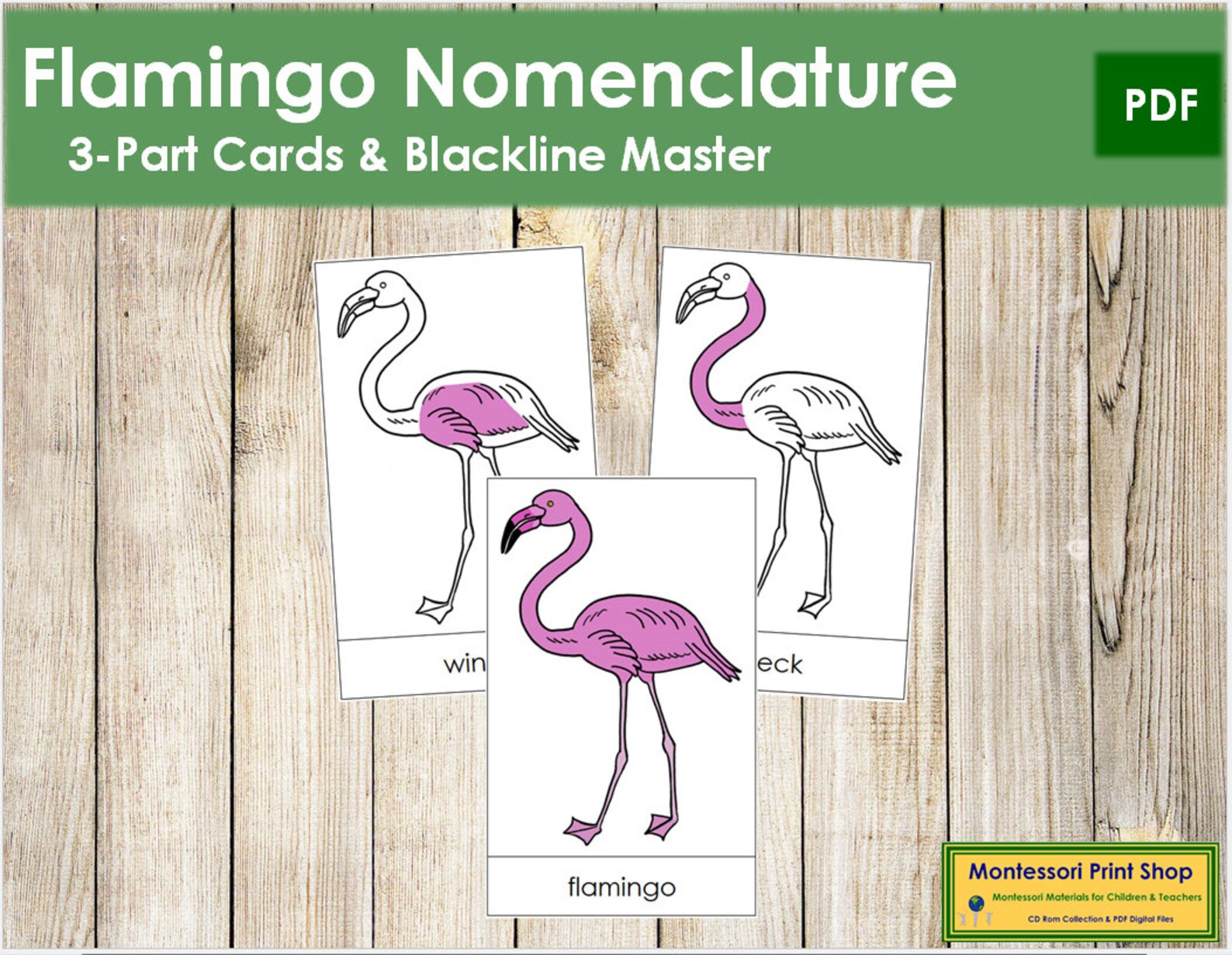 Parts of a Flamingo Nomenclature 3-part Cards Montessori - Etsy