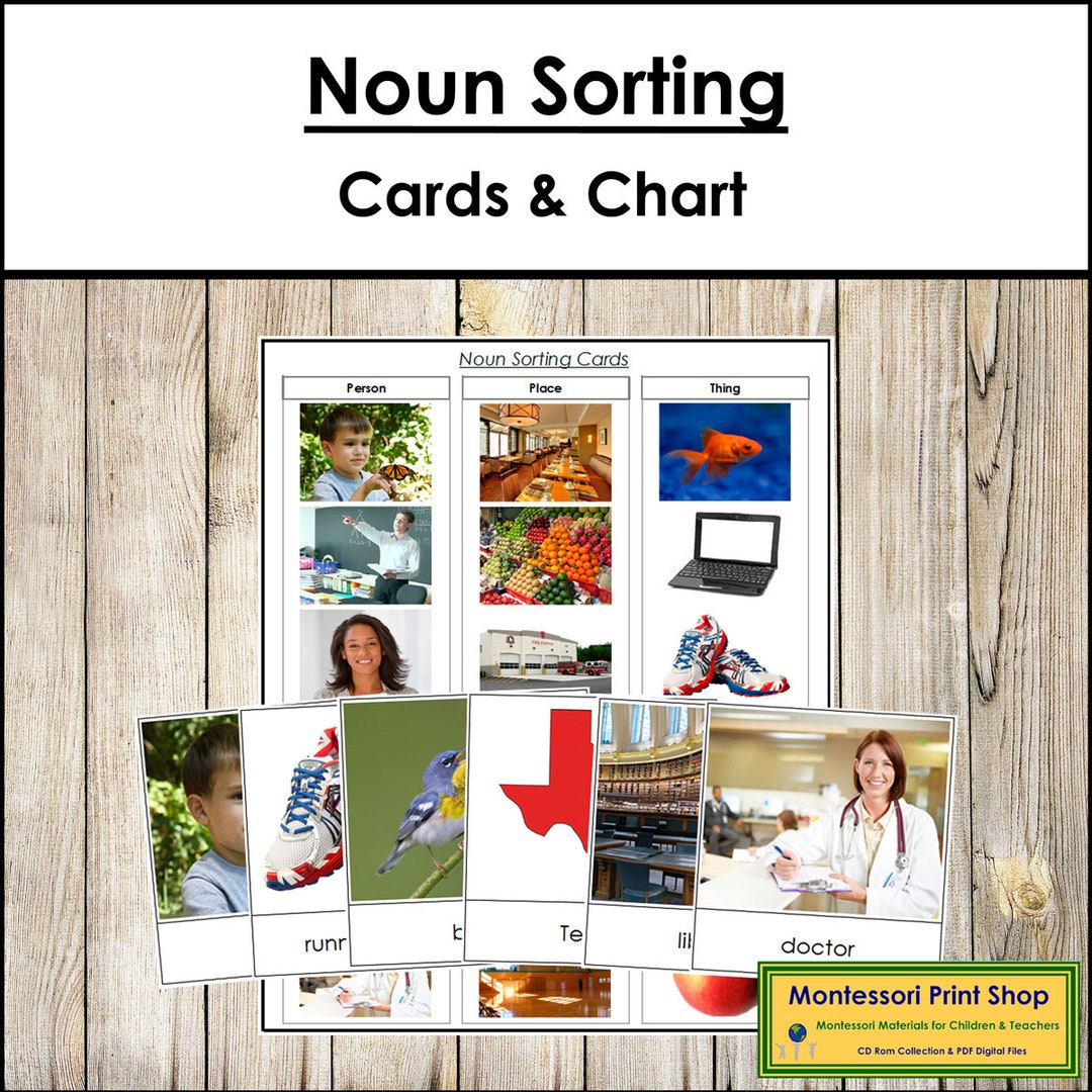 Noun Sorting Cards & Control Chart - Montessori Grammar (digital ...